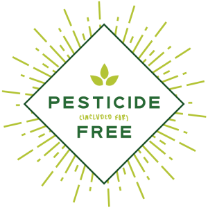 What Food Labels Should Really Say (if they were being honest!) - Safer ...