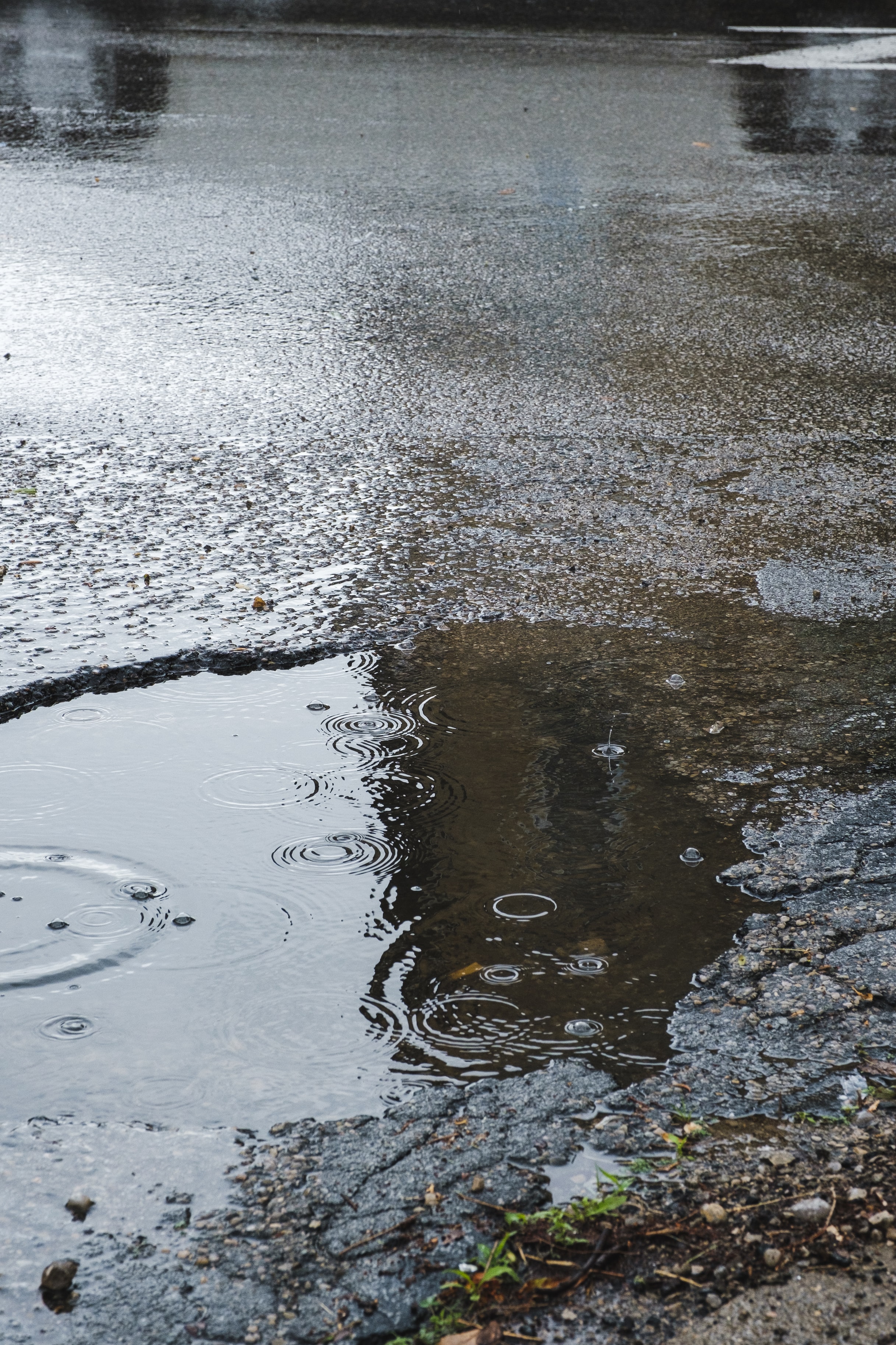 A pothole damaged my vehicle, what can I do? - Safer America