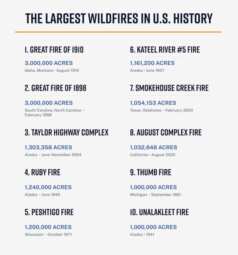 What Was The Largest Wildfire in U.S. History? - Safer America